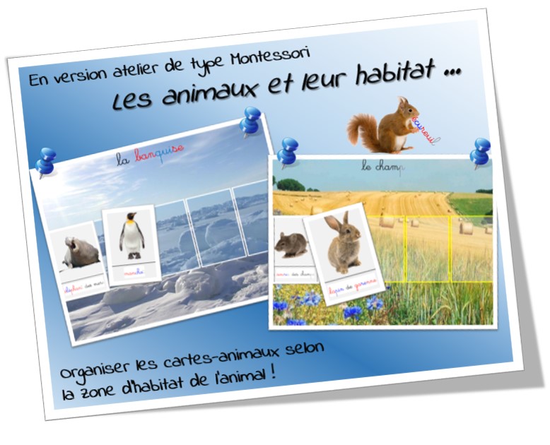 Classer les animaux selon leur habitat en version atelier dys - Dys é moi