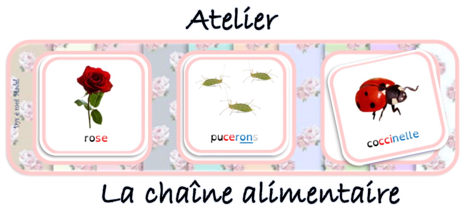 La chaîne alimentaire en jeu d’autonomie - Dys é moi